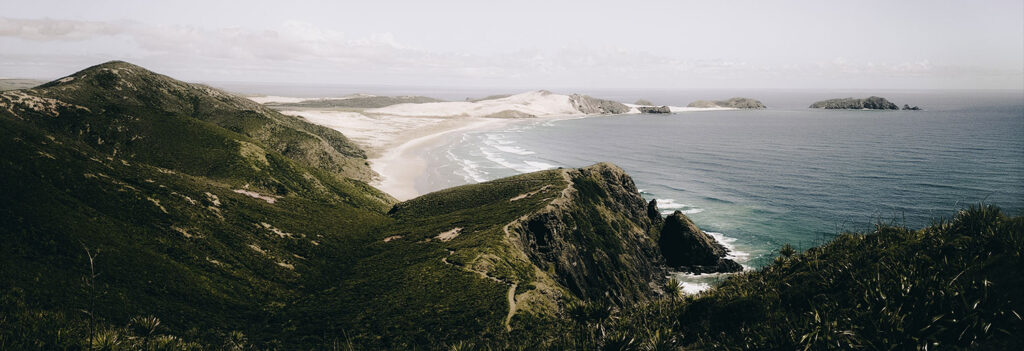 Discover Waipiro Bay - The Art of Island Hopping